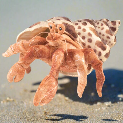 Folkmanis Hermit Crab Hand Puppet – Galleria